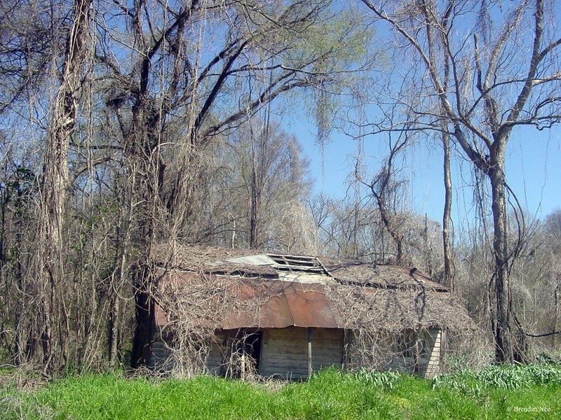 Rodney, Mississippi - PictureTheCity : Urban Photography by Brendan Nee